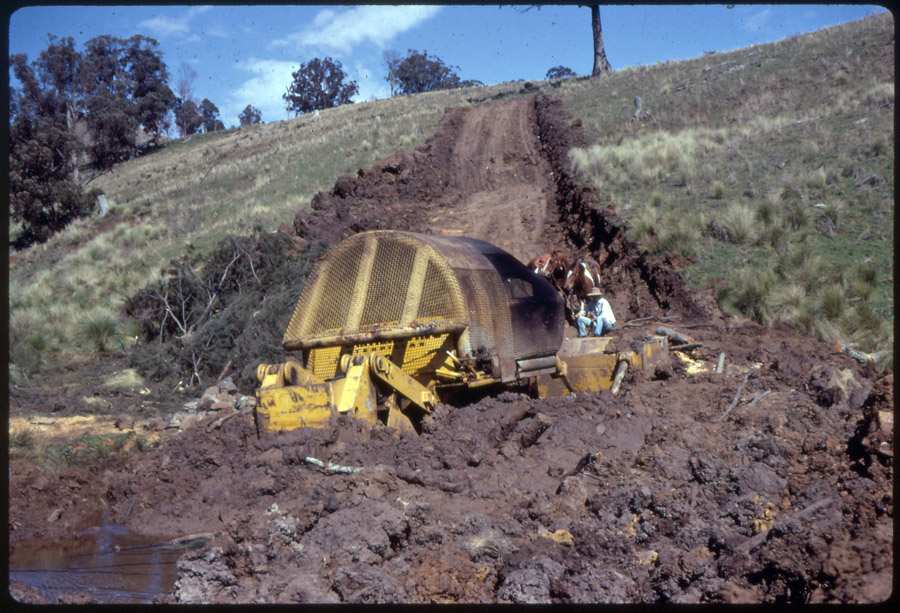 Norville Australia - OOPS!
